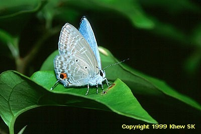 1034