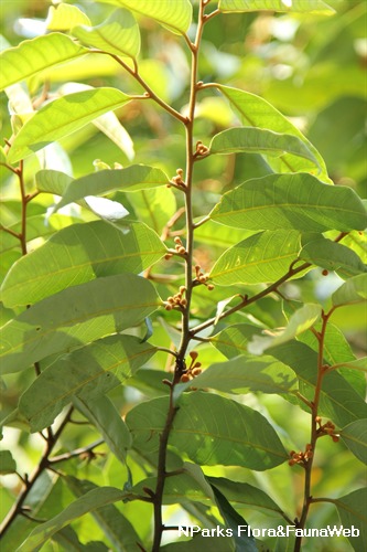 temp slide