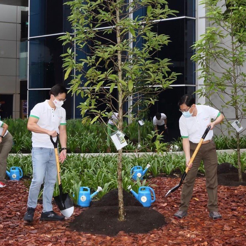 OneMillionTrees movement