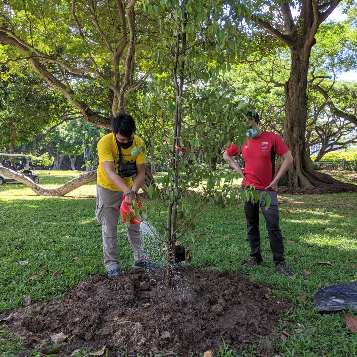 OneMillionTrees movement