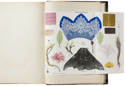 Capturing Nature Exhibition