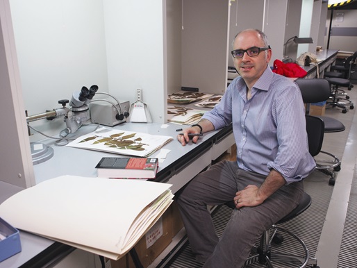 Dr Timothy UTTERIDGE