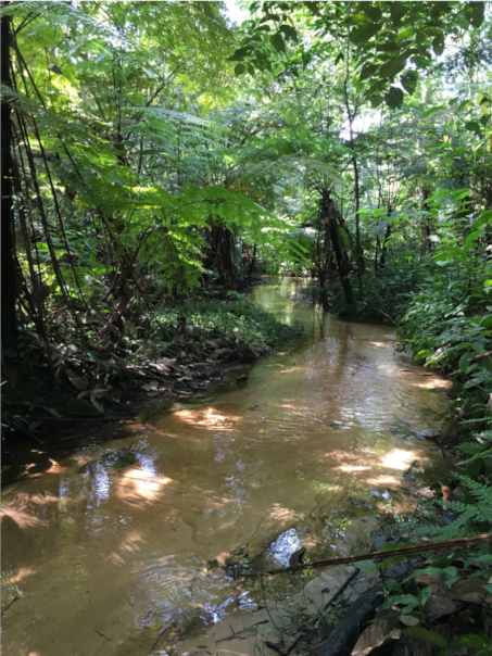 Terrestrial And Freshwater Ecosystems