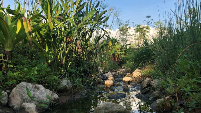 Terrestrial And Freshwater Ecosystems